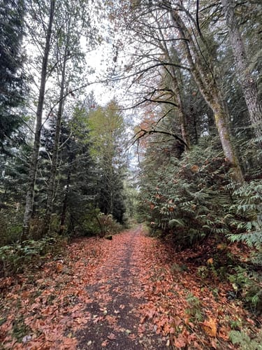 Best 10 Hikes And Trails In Larrabee State Park Alltrails