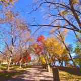 Ohio River Trail, Ohio - 557 Reviews, Map | AllTrails