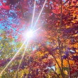 Ohio River Trail, Ohio - 599 Reviews, Map | AllTrails