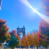 Ohio River Trail, Ohio - 599 Reviews, Map | AllTrails