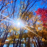 Ohio River Trail, Ohio - 599 Reviews, Map | AllTrails