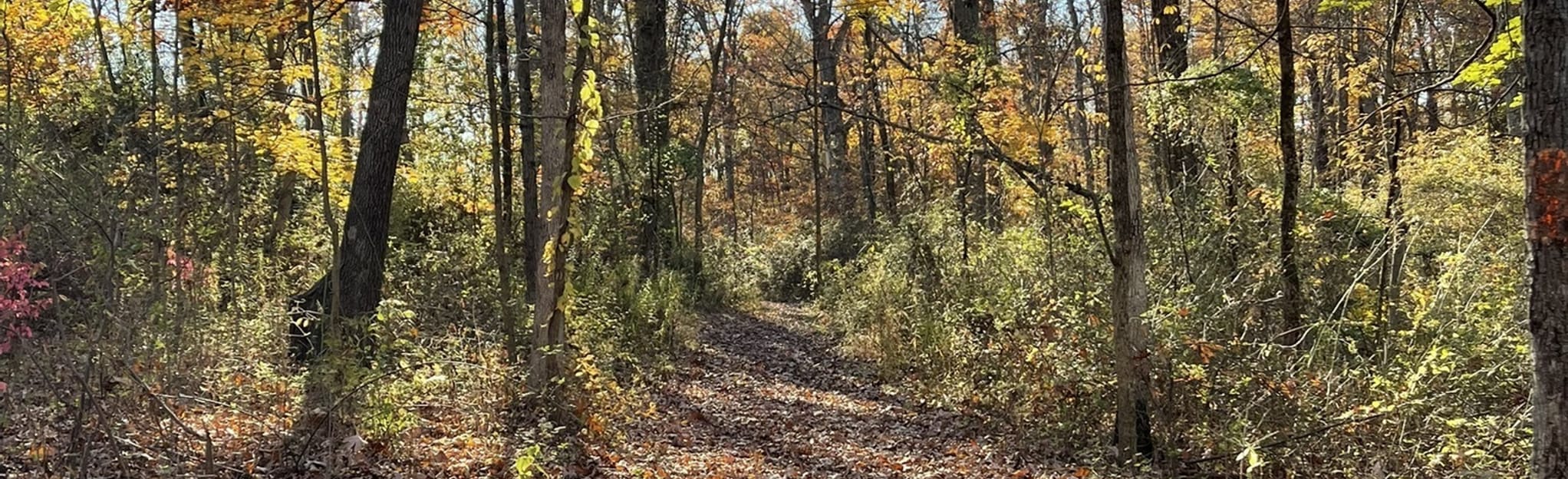 East Hanover Nature Park Trail: 57 Reviews, Map - Pennsylvania | AllTrails