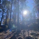 Gold Digger Trail to Two Spot Trail Loop, Arizona - 195 Reviews, Map ...