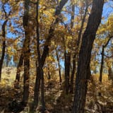 Gold Digger Trail to Two Spot Trail Loop, Arizona - 195 Reviews, Map ...