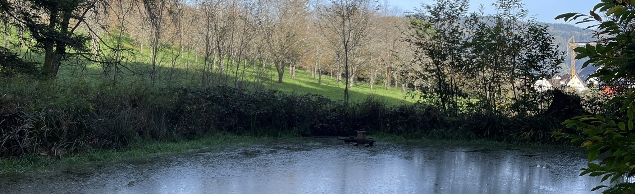 Oberkircher Brennersteig: 20 Reviews, Map - Baden-Württemberg, Germany ...