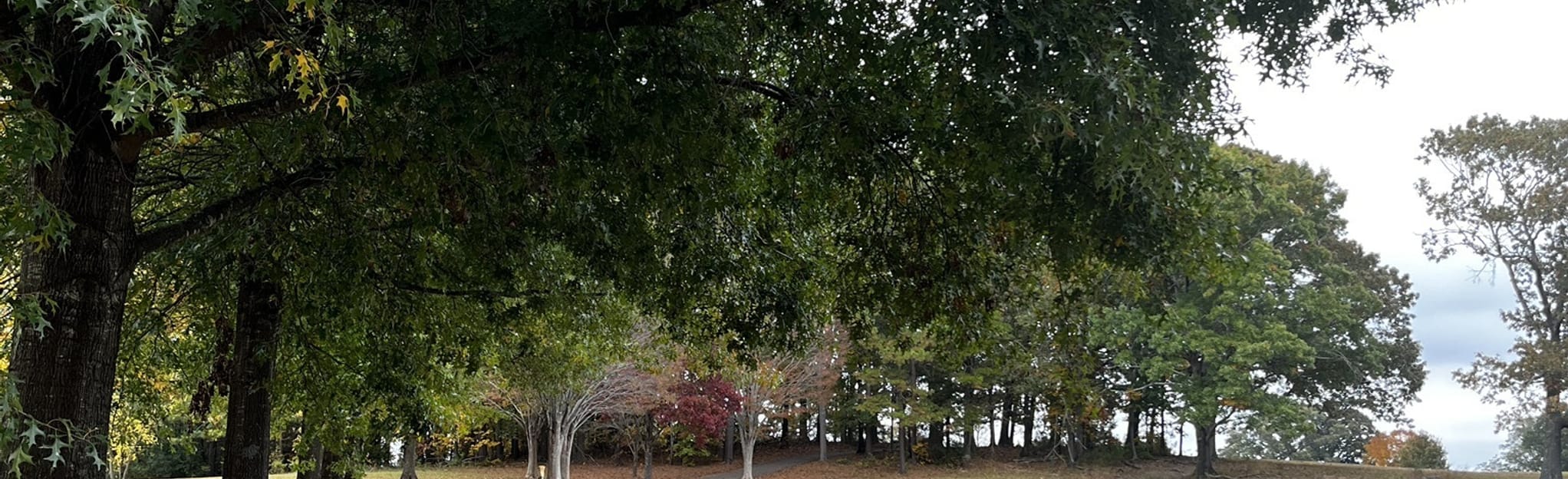 Lenora Park Nature Trail: 36 Reviews, Map - Georgia | AllTrails