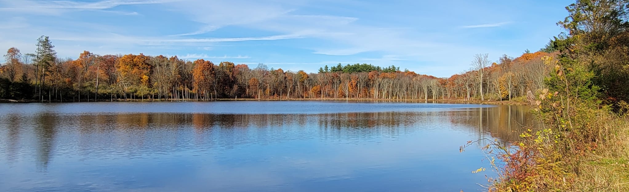 Walpack Ridge Loop, New Jersey - 76 Reviews, Map | AllTrails