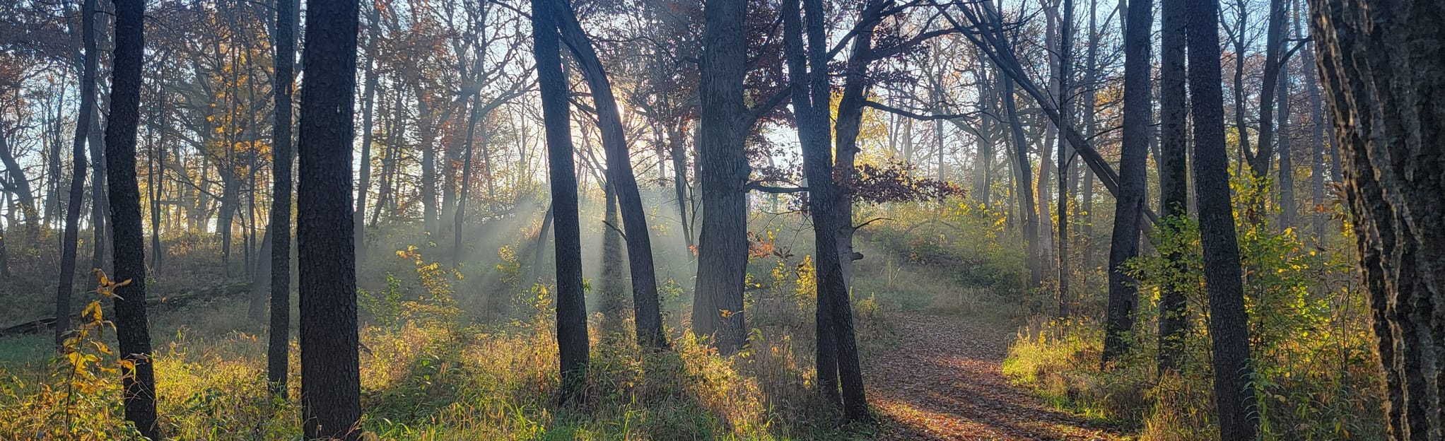 Korth Park Loop: 37 Reviews, Map - Wisconsin | AllTrails