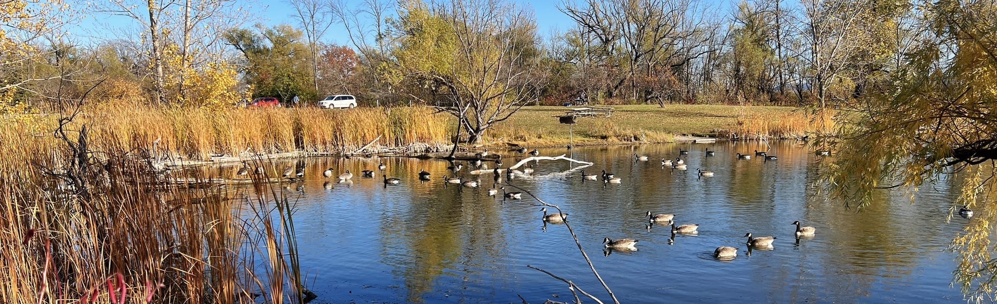 Fifty Point Conservation Area: 88 Reviews, Map - Ontario, Canada ...