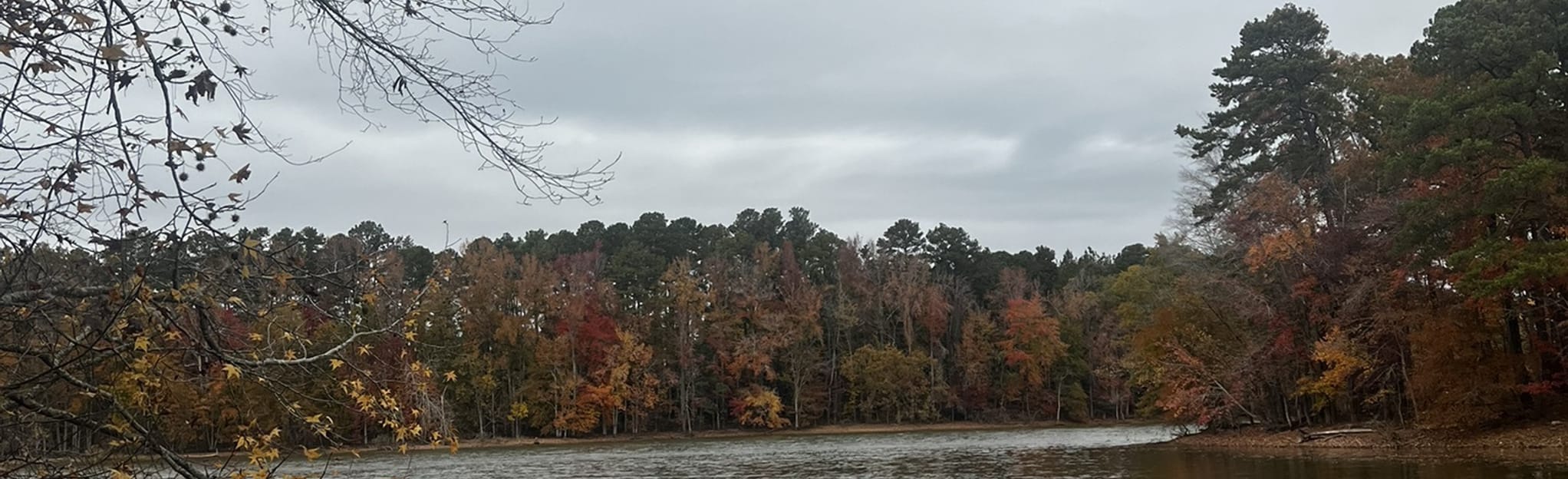 Emerald Bay Loop , North Carolina - 29 Reviews, Map | AllTrails