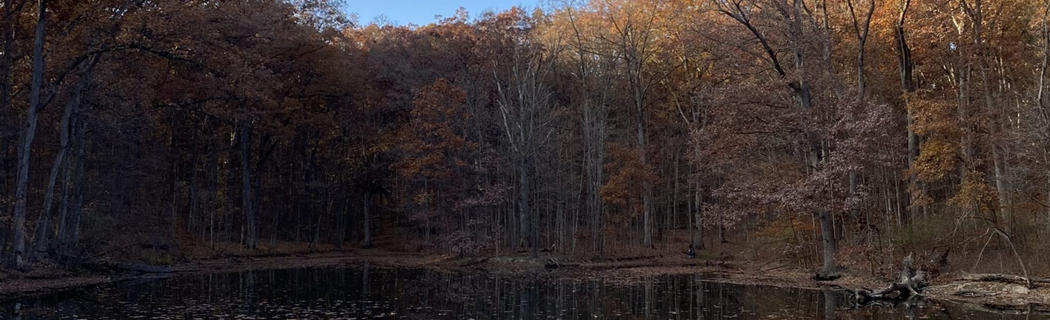 Oak Paradise, Maple Spur, and Trail of Reflection Loop - Indiana ...