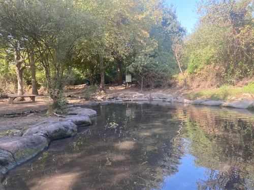 Best Wildlife Trails in Nahal Snir Nature Reserve | AllTrails