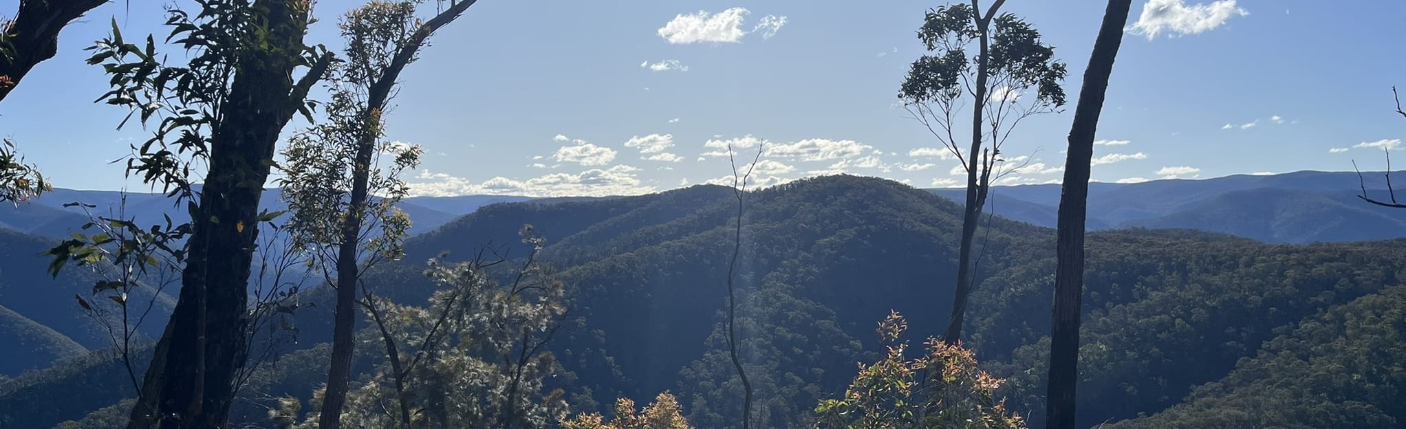 Splendour Rock Track: 29 Reviews, Map - New South Wales, Australia ...