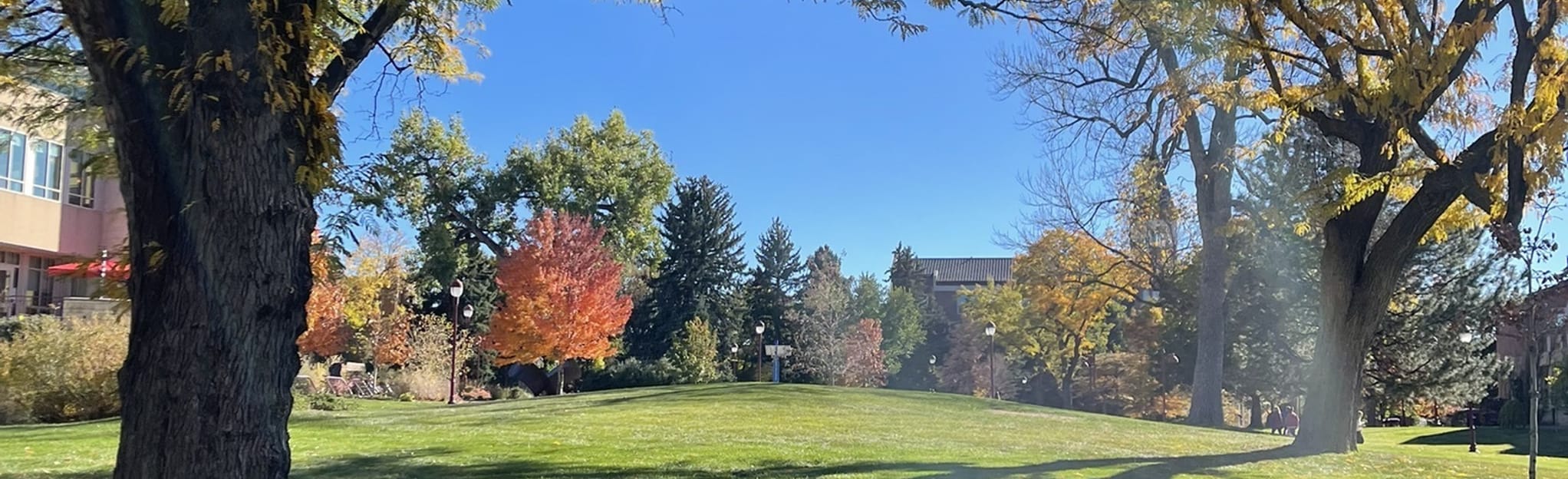 University of Denver Tour, Colorado - 57 Reviews, Map | AllTrails