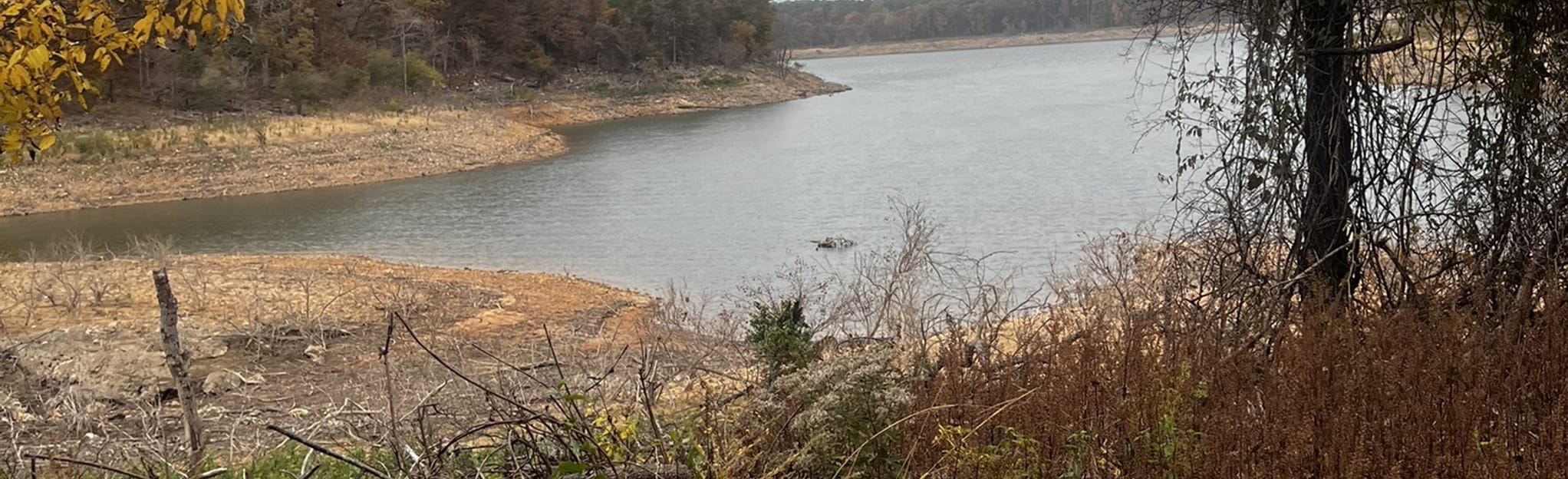 David's Trail, Mallard Ridge Spur, Piney Point and Bald Knob Loop Trail ...