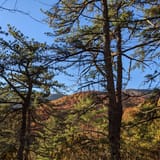 Lost Cove Loop Trail (262), North Carolina - 145 Reviews, Map | AllTrails