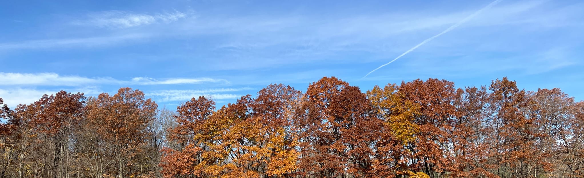 Leonard Preserve, Michigan - 131 Reviews, Map | AllTrails