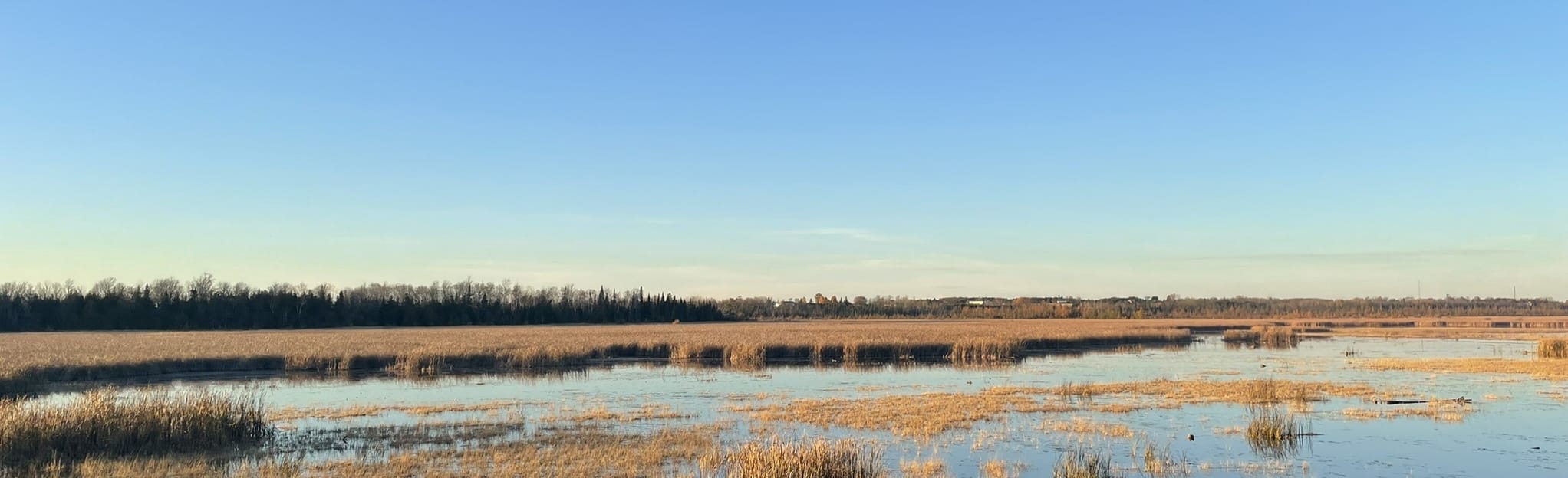 Ken Reid South Loop | Map, Guide - Ontario, Canada | AllTrails