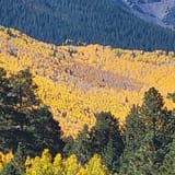 Lockett Meadow Inner Basin Loop, Arizona - 727 Reviews, Map | AllTrails