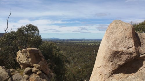Best Hikes and Trails in Black Range Scenic Reserve | AllTrails