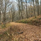 Hidden Valley Lake, Virginia - 73 Reviews, Map | AllTrails