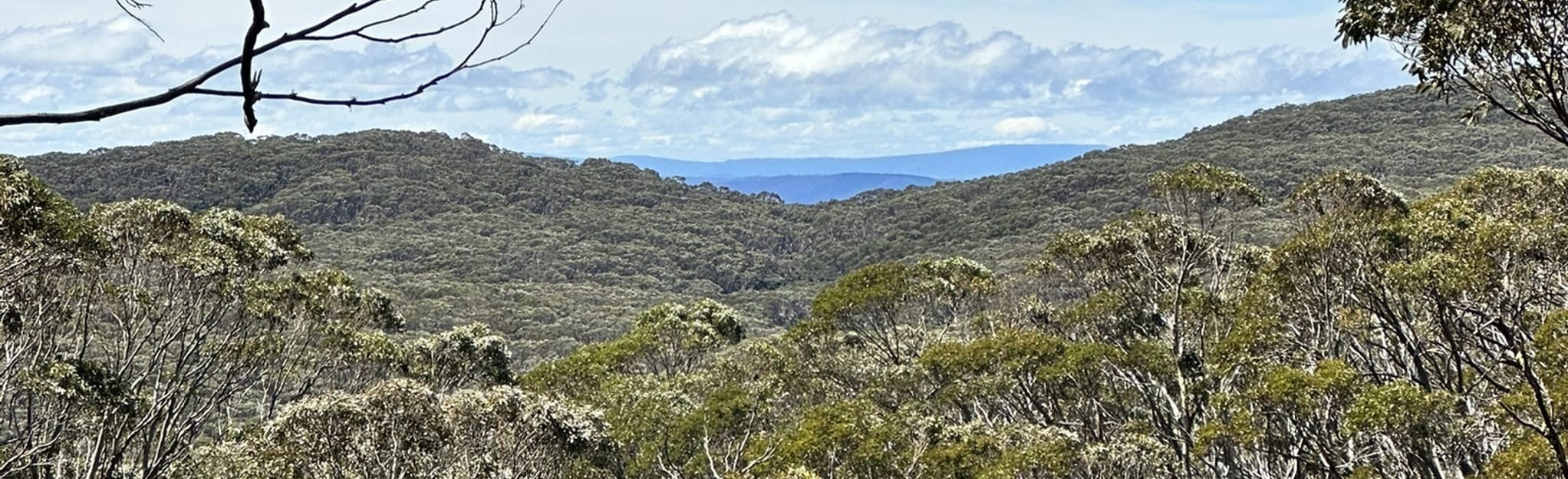 Mount Baw Baw: Blue Run - Victoria, Australia | AllTrails