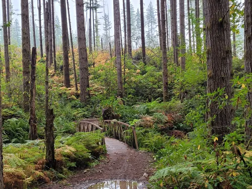 10 Best Hikes and Trails in Tahuya State Forest | AllTrails