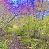 Pierce Lake Trail, Illinois - 701 Reviews, Map | AllTrails