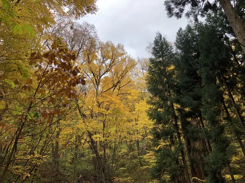 10 Best Trails and Hikes in Sapporo | AllTrails