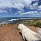 Smiths and YCW Beach Walk, Victoria, Australia - 2 Reviews, Map | AllTrails
