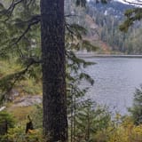 Boardman Lake Trail, Washington - 220 Reviews, Map | AllTrails