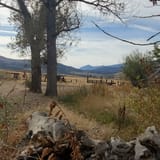 East Fork Carson River Hot Springs via Leviathan Mine Road, Nevada - 46 ...
