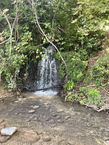 Best Hikes and Trails in Nahal Snir Nature Reserve | AllTrails