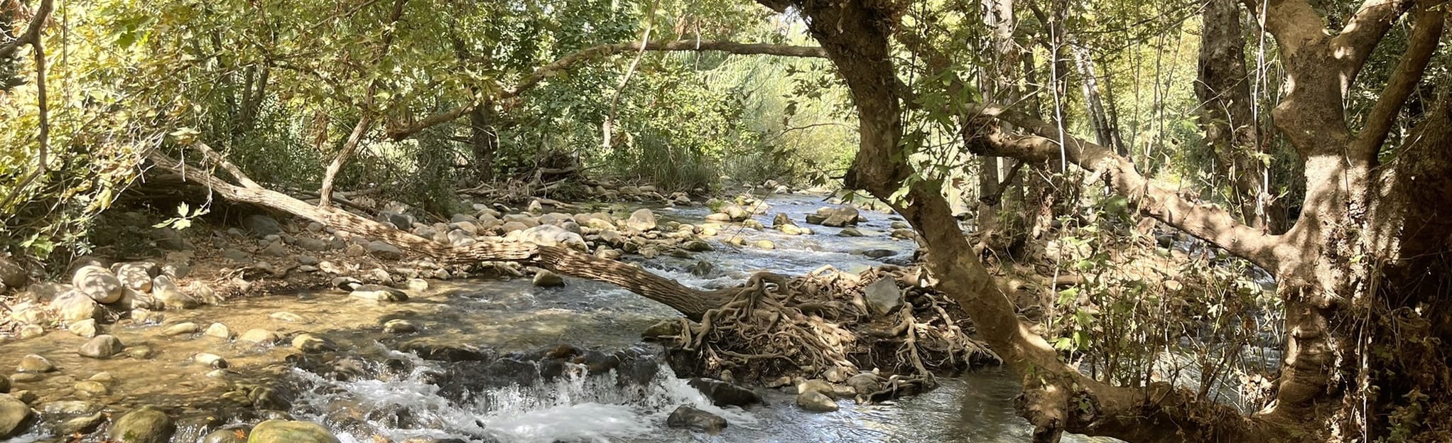 Snir Stream Nature Reserve, Northern District HaZafon, Israel - 2 ...