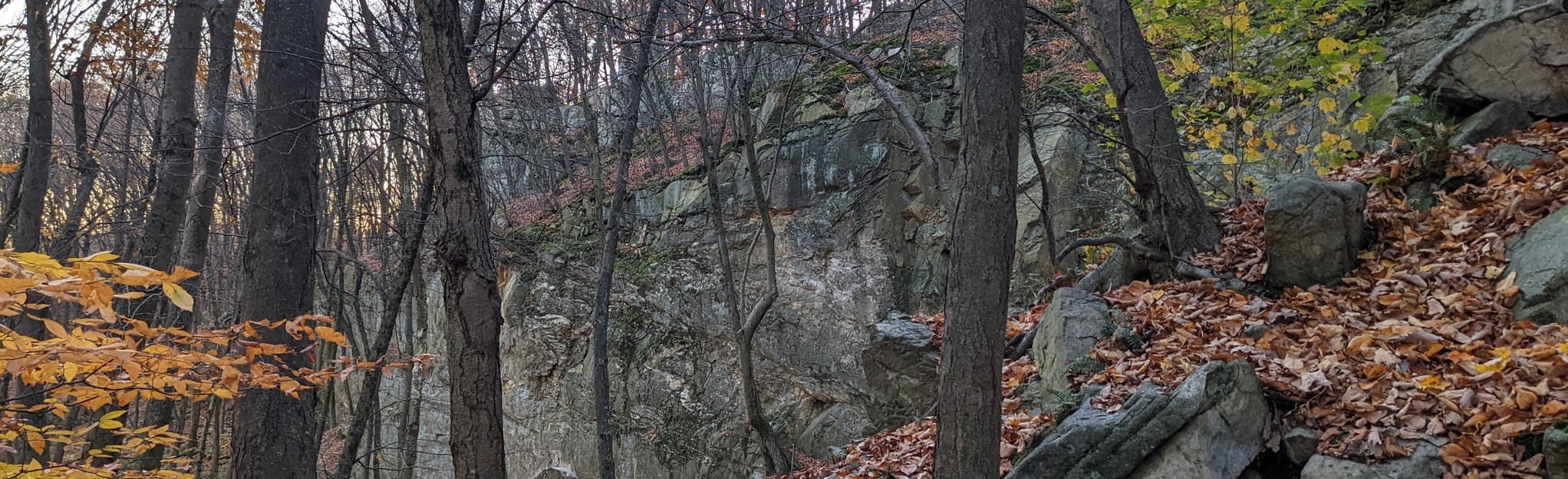 Money Rocks Cocksomb and Iron Horse Trail, Pennsylvania - 34 Reviews ...