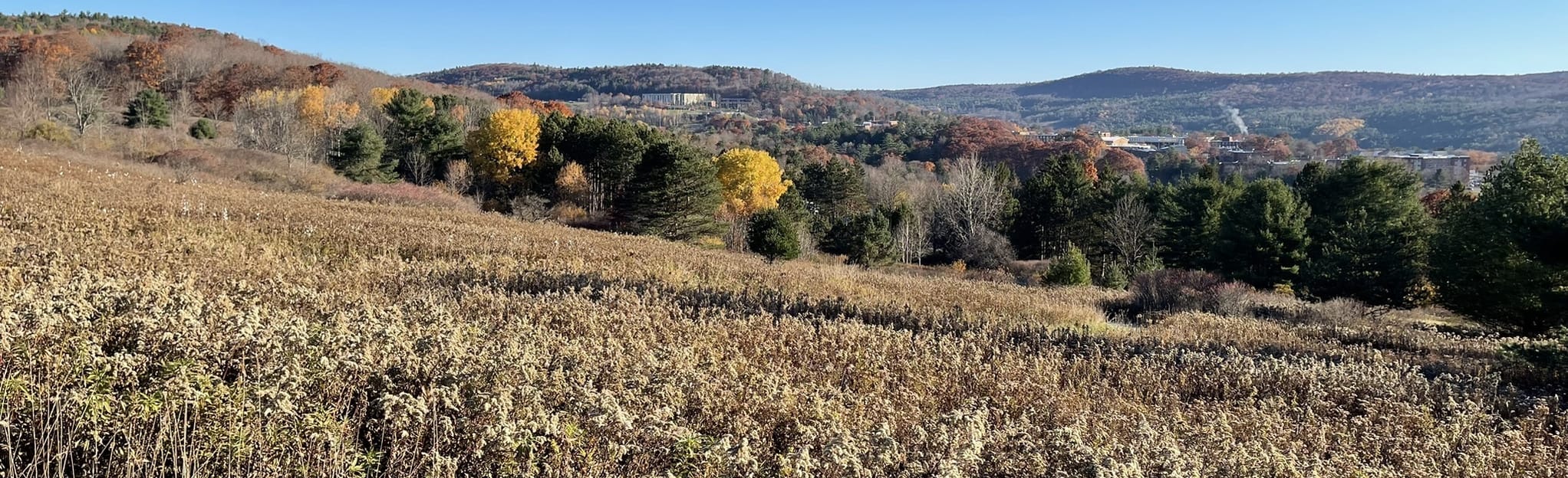 Table Rock Loop [PROPRIEDADE PRIVADA] - New York | AllTrails