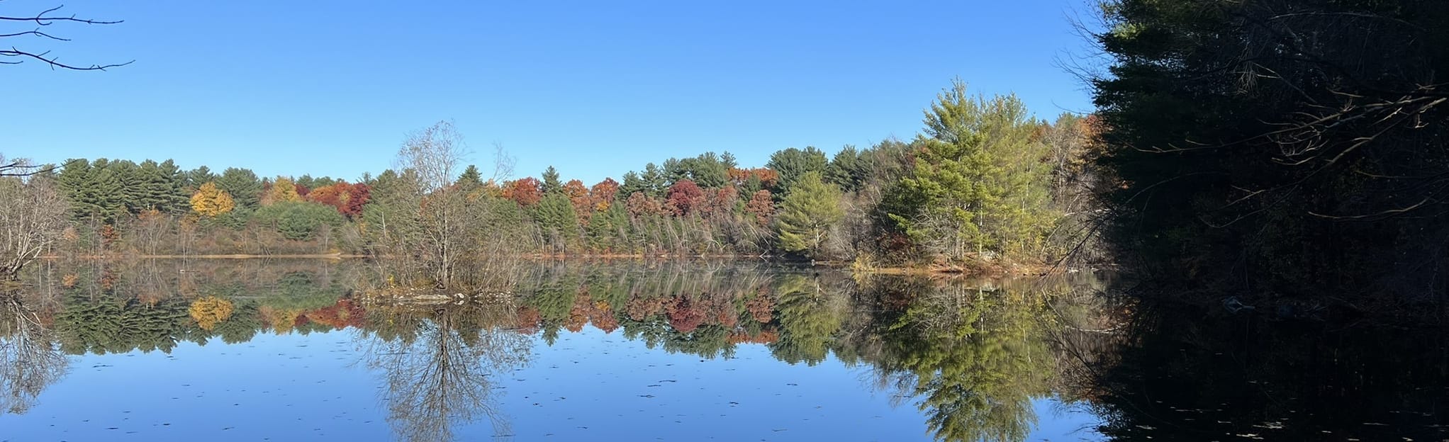 Spring Hill Yellow and Blue Loop Trail: 239 Reviews, Map ...