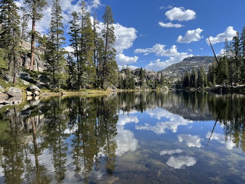 2023 Best Wild Flowers Trails in Mi Wuk Village | AllTrails