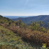 Black Ridge Trail, Virginia - 519 Reviews, Map | AllTrails