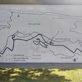 Black Ridge Trail, Virginia - 519 Reviews, Map | AllTrails