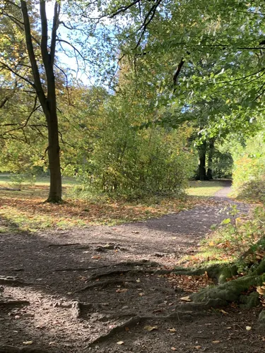 Best Hikes and Trails in Woodbank Memorial Park | AllTrails