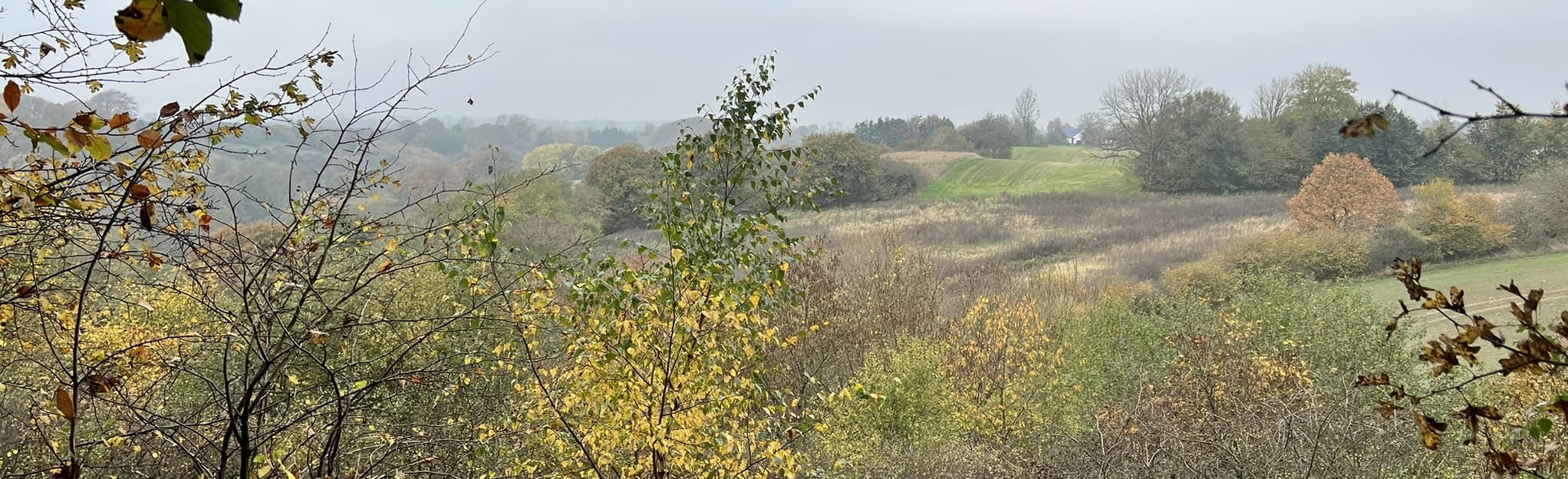 Harte Skov - Rød Rute: 7 Reviews, Map - Region of Southern Denmark ...