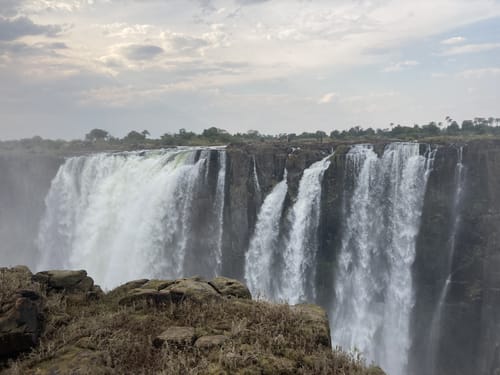 Best Hikes and Trails in Victoria Falls Rainforest | AllTrails