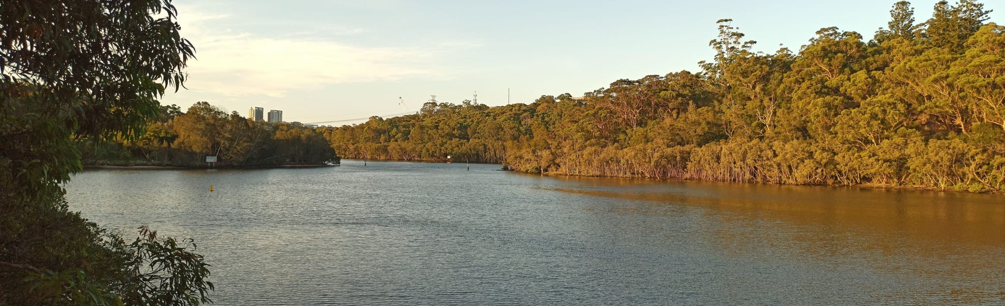 Boronia Park to Magdala Park via Lane Cove River: 130 Reviews, Map ...