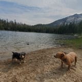 Angora Lakes Trail, California - 501 Reviews, Map | AllTrails