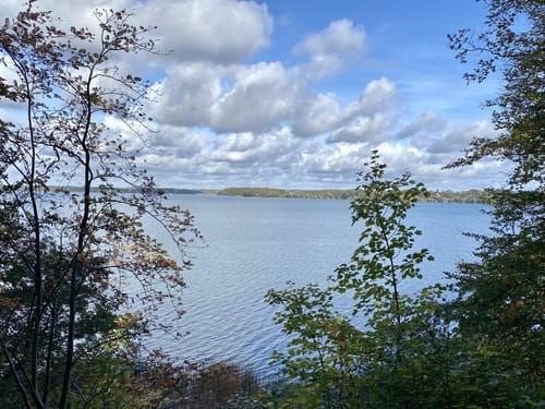 2023 Best trails in Virum | AllTrails