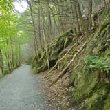 Hamilton Falls Trail, Vermont - 687 Reviews, Map | AllTrails