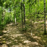 Hamilton Falls Trail, Vermont - 687 Reviews, Map | AllTrails