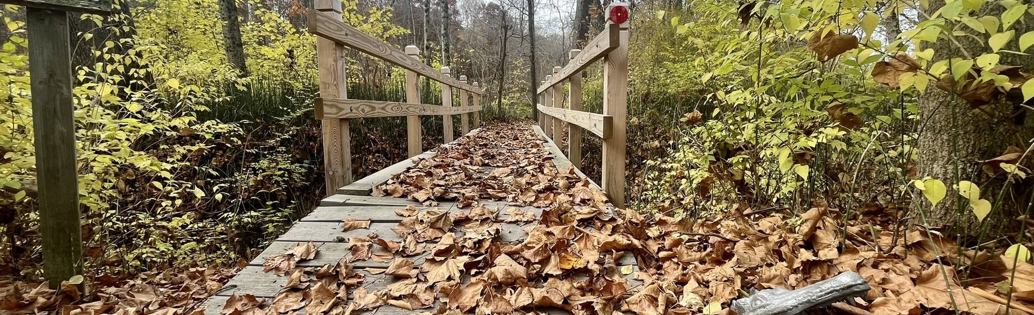 Historical Society Red Trail, Ohio - 10 Reviews, Map | AllTrails