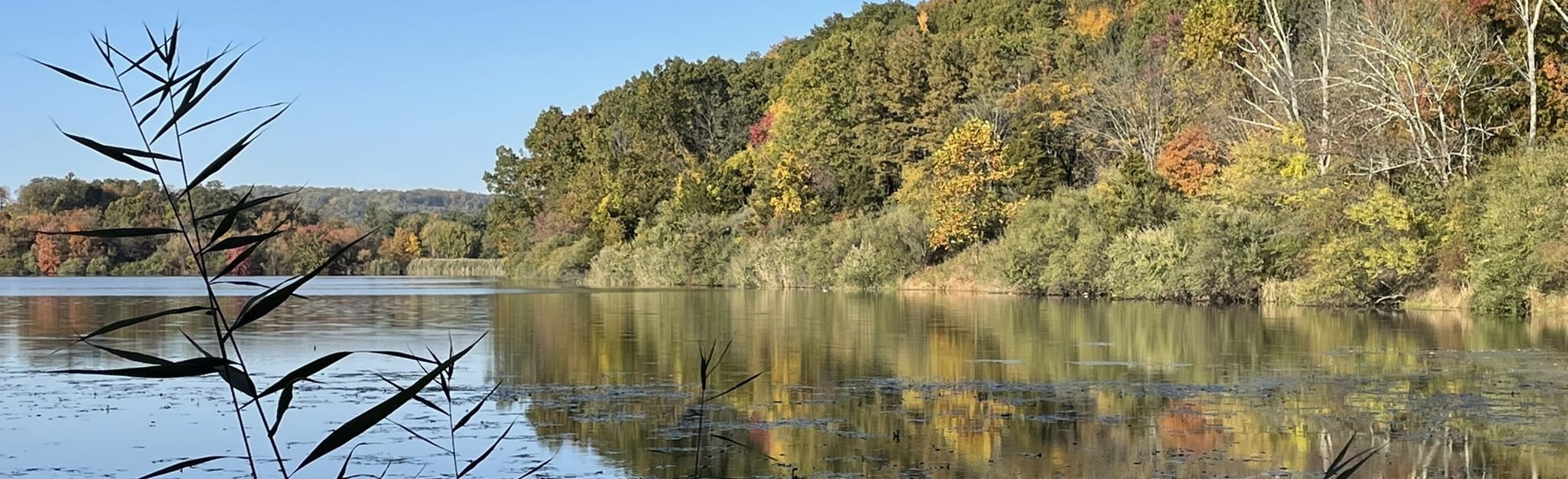 Round Valley Lake Northwest Shore - New Jersey | AllTrails